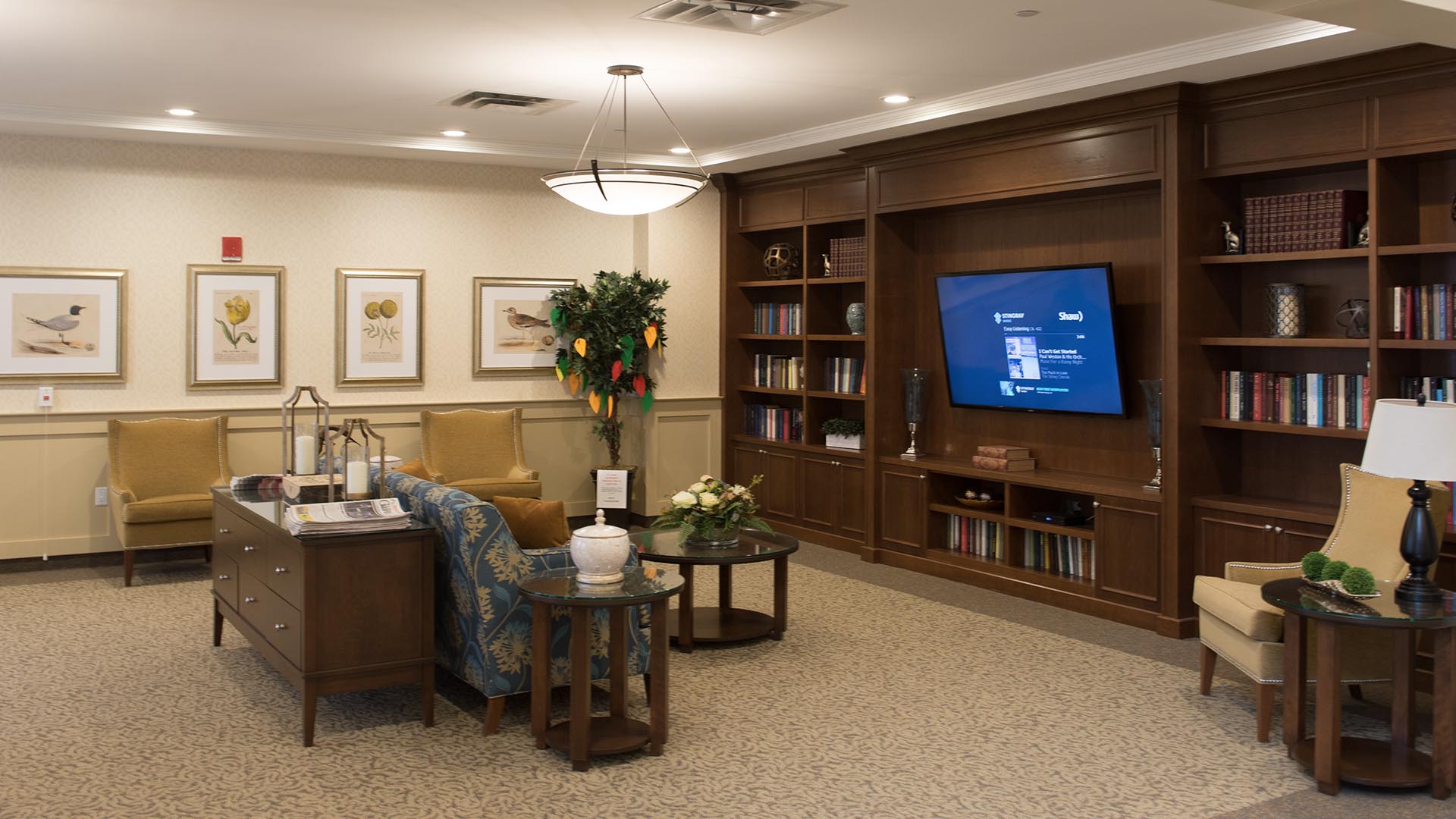 Amenities and Activities | Everitt Gardens